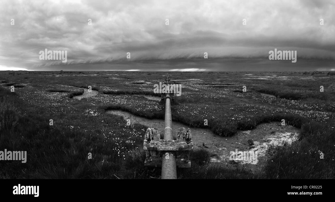 Stiffkey marsh hi-res stock photography and images - Alamy