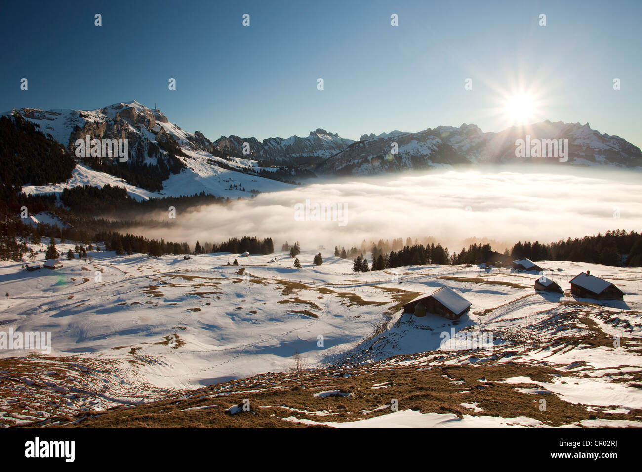 View of the Alpstein massif with Mt. Saentis and mountain pasture in ...