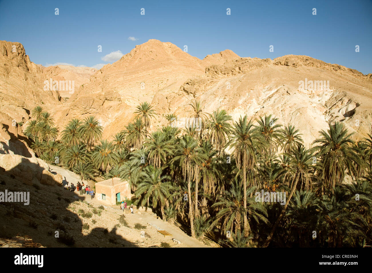 Tunisia, Chebika, mountain oasis Stock Photo - Alamy