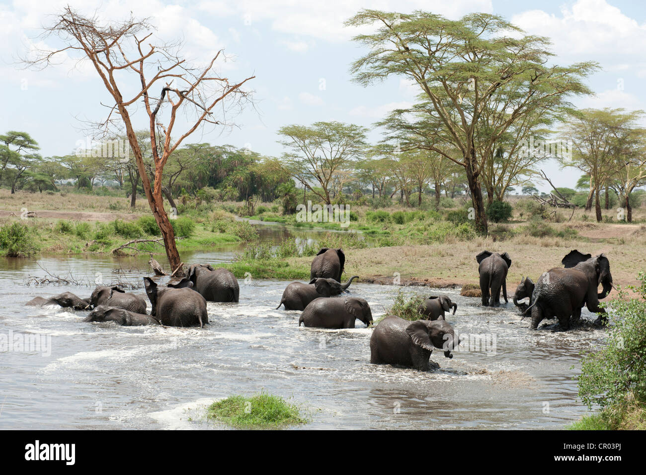 Body africa bathing hi-res stock photography and images - Alamy