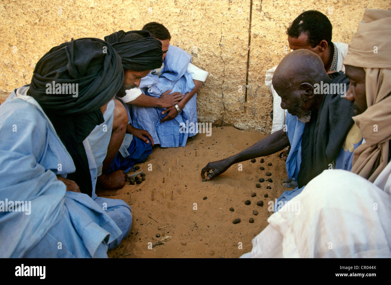 Chinguetti camel hi-res stock photography and images - Alamy