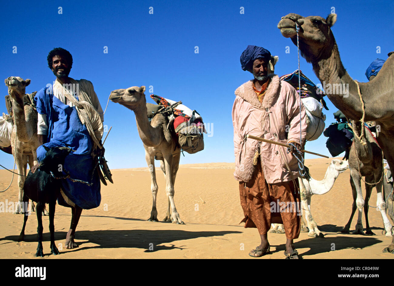 Salek hi-res stock photography and images - Alamy