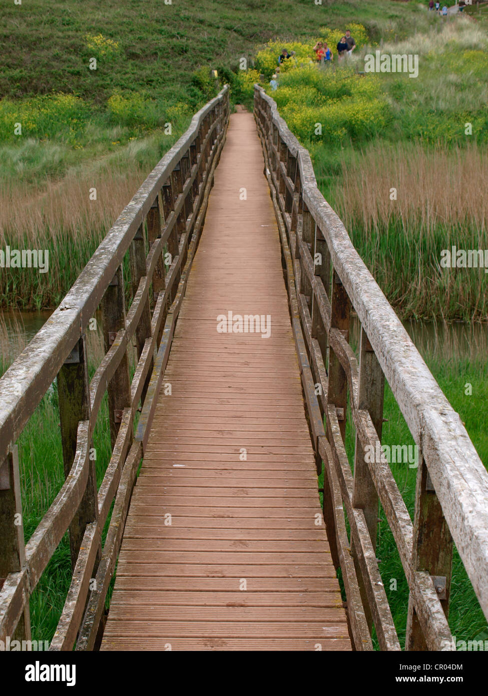 Footbridge at South Milton Ley nature reserve, Devon, UK Stock Photo ...