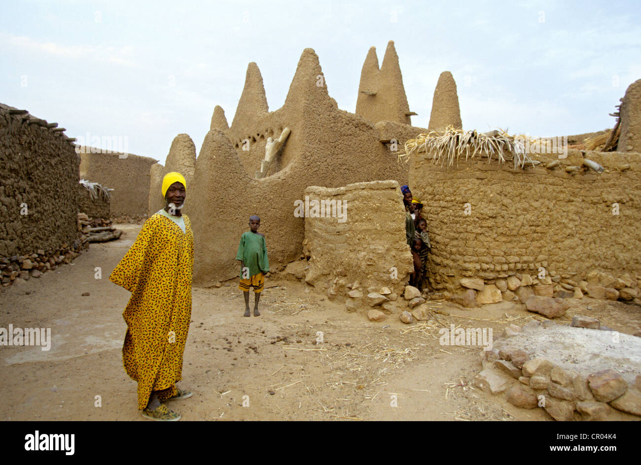 Mali, Dogon Country, Bandiagara Cliff UNESCO World Heritage, Kameli ...