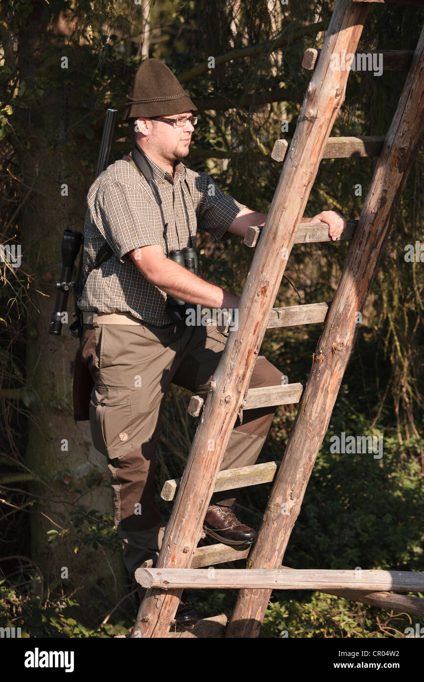 Hunter climbing a deerstand Stock Photo - Alamy