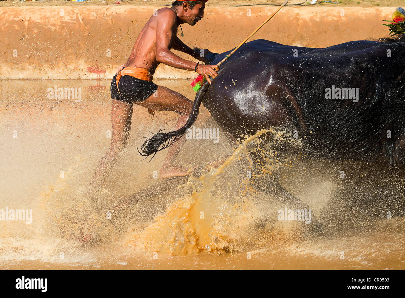 Kambala hi-res stock photography and images - Alamy