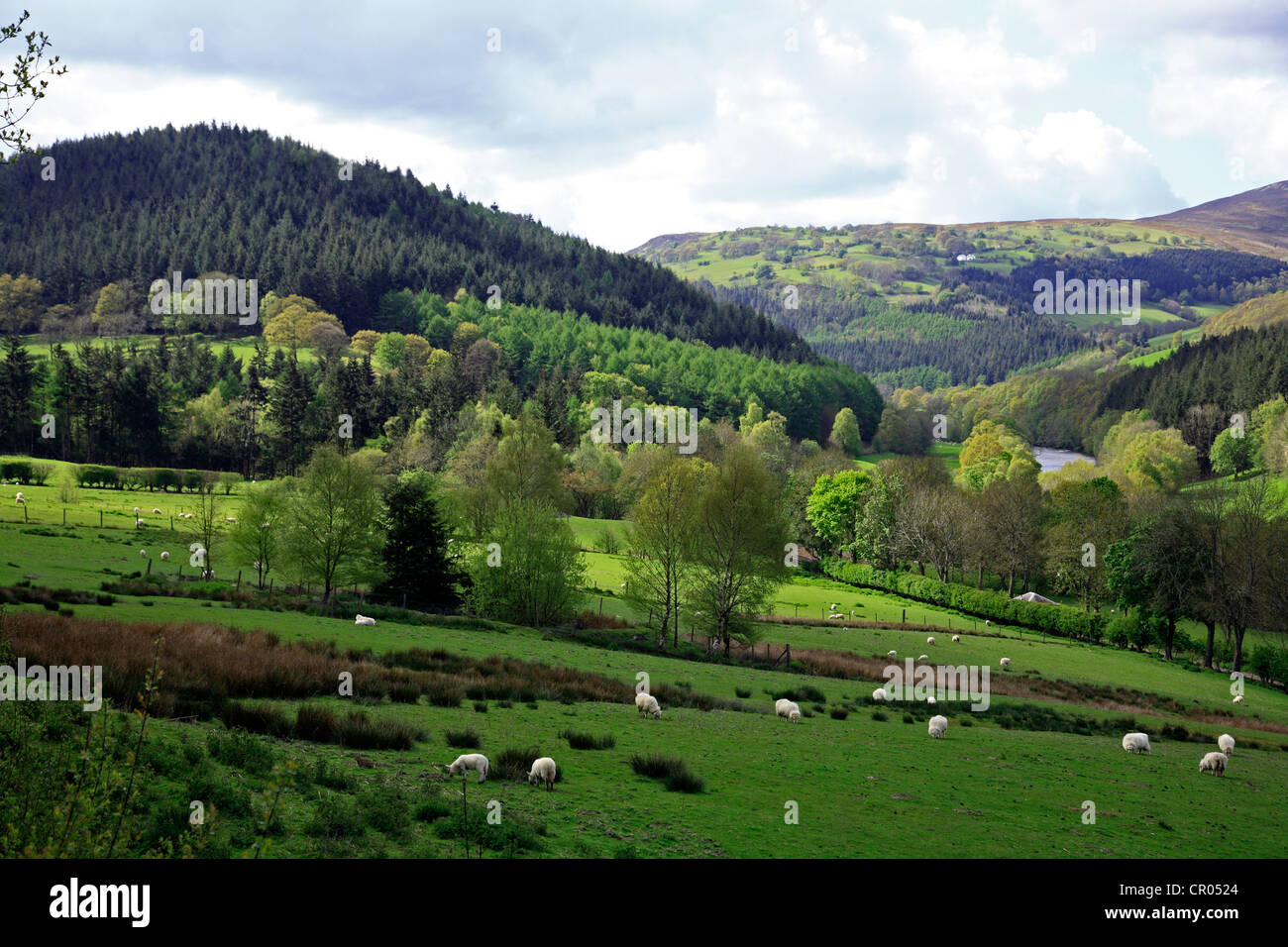 Berwyn Mountains Denbighshire North Wales UK United kingdom Great ...