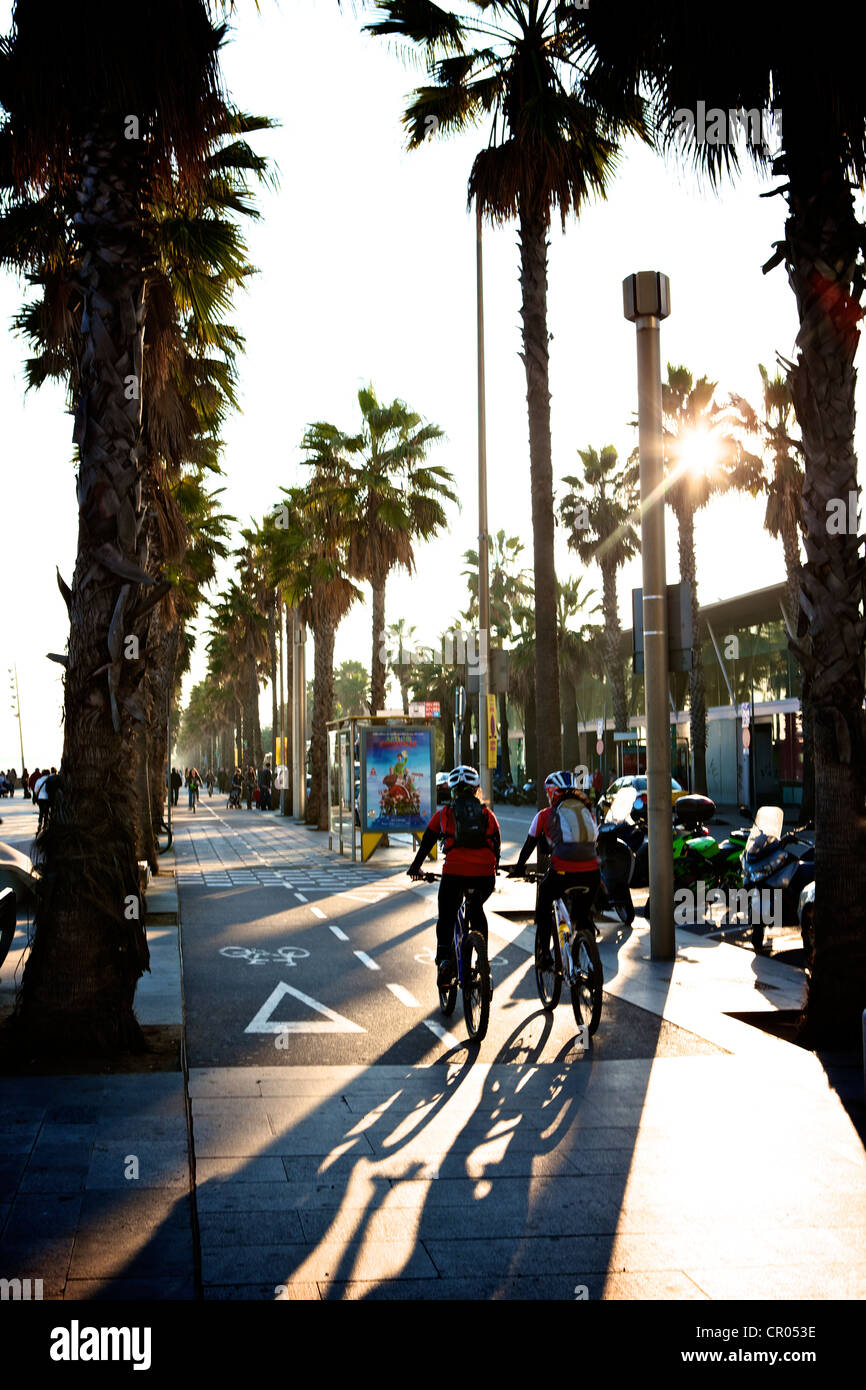 Down cycling hi-res stock photography and images - Alamy