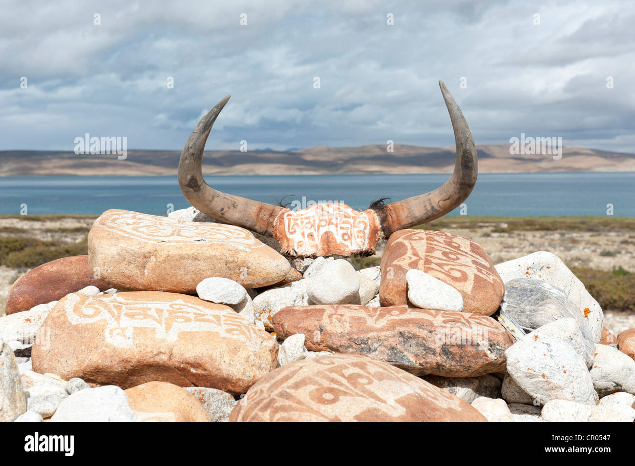 Tibetan Buddhism, yak horns and Mani stones with Tibetan script, former ...