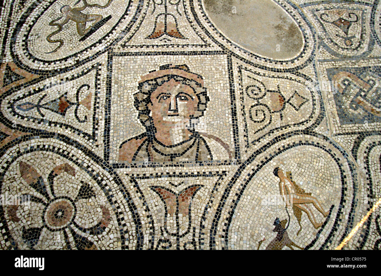 Hercules mosaic hi-res stock photography and images - Alamy