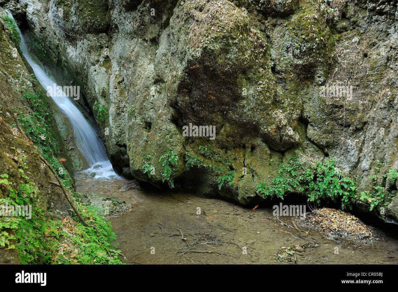 Small waterfall in the Valley of Butterflies, Petaloudes, Rhodes ...