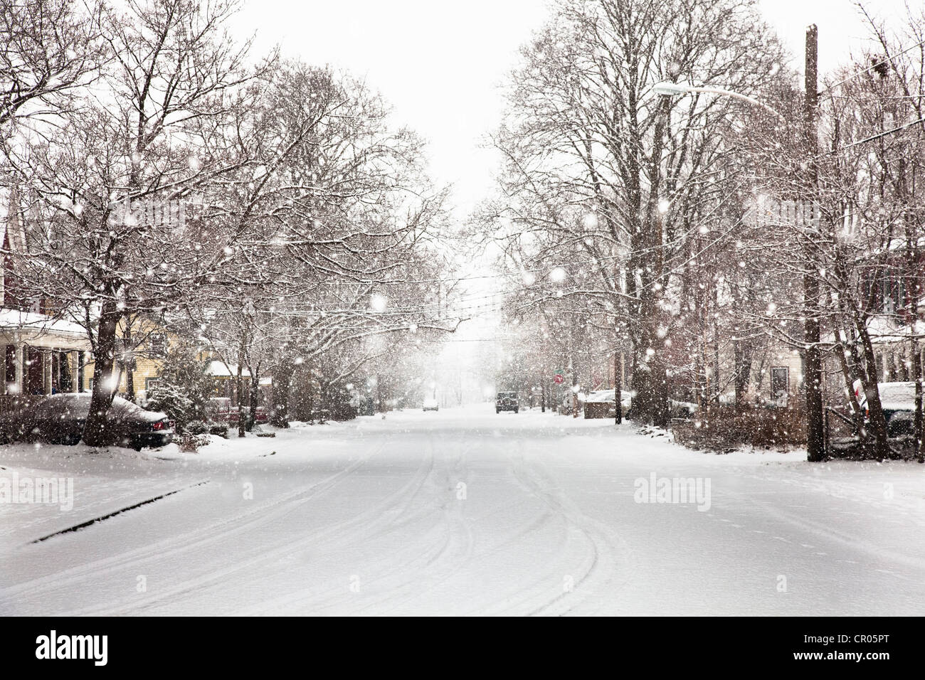 Snow falling on suburban street Stock Photo - Alamy