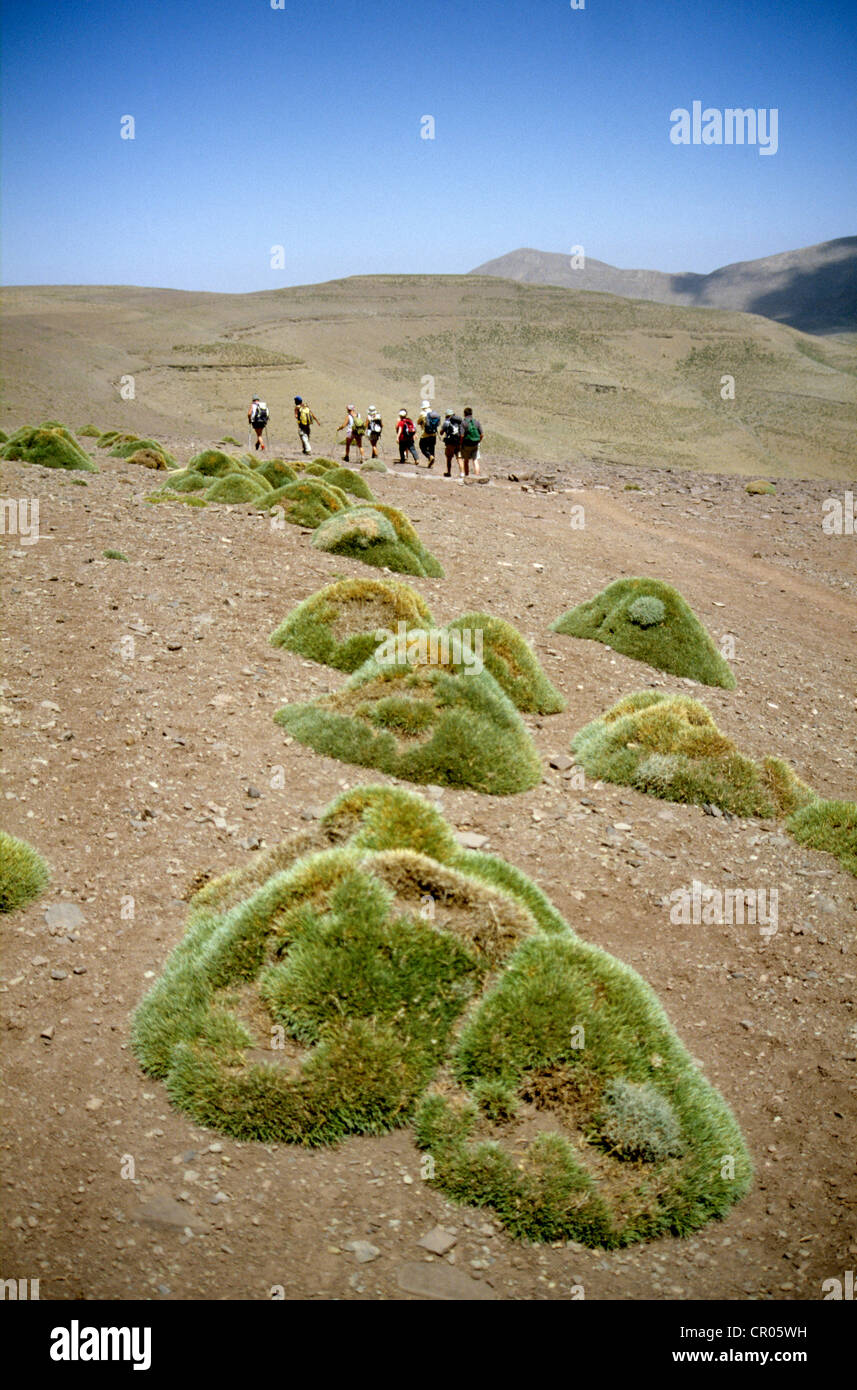 High plateau hi-res stock photography and images - Alamy