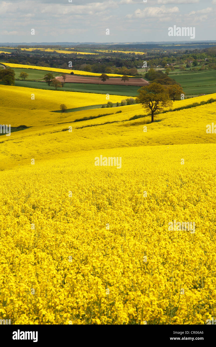 The English countryside in Spring, Nottinghamshire, England, U.K Stock ...