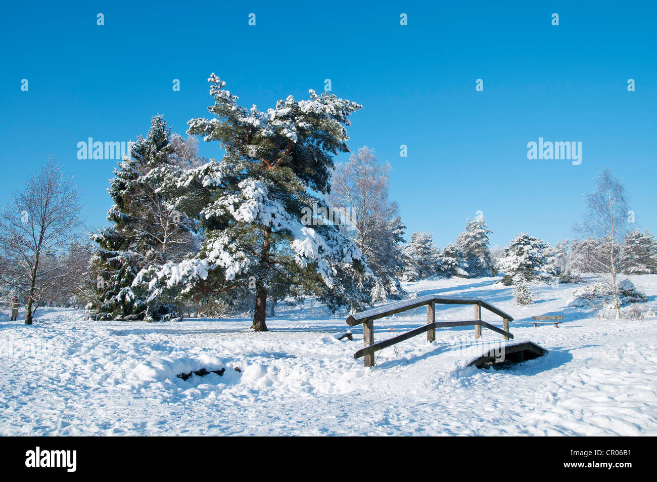Winter germany heath hi-res stock photography and images - Alamy