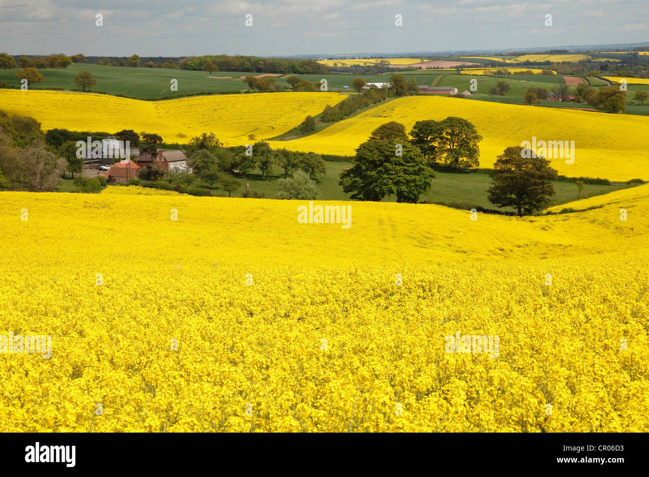 The English countryside in Spring, Nottinghamshire, England, U.K Stock ...
