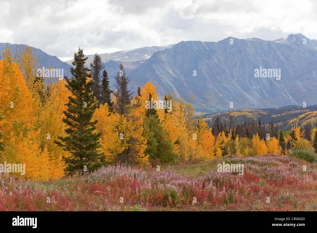 Haines pass hi-res stock photography and images - Alamy