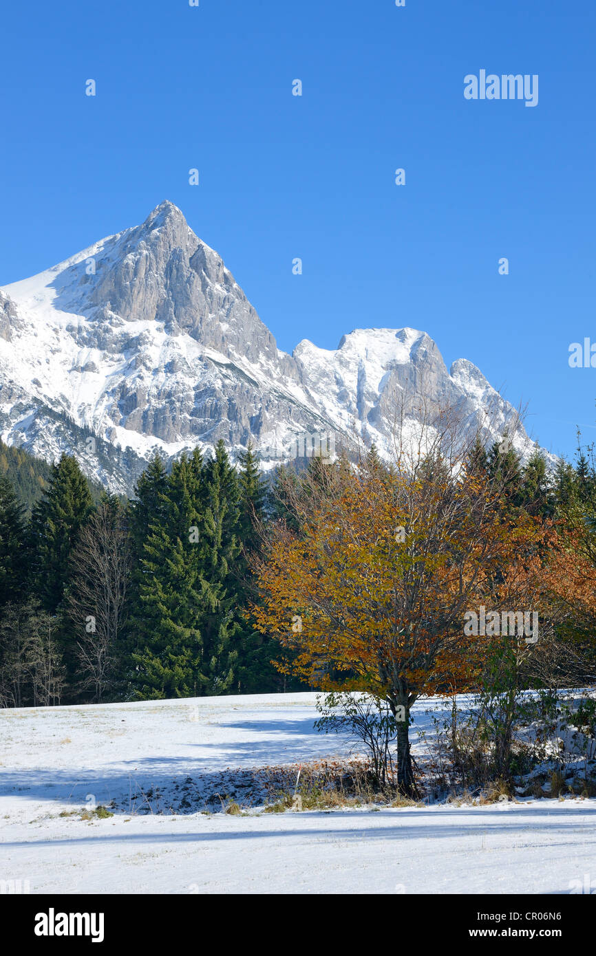 Reichenstein mountain, 2251m, as seen from a meadow near the junction ...
