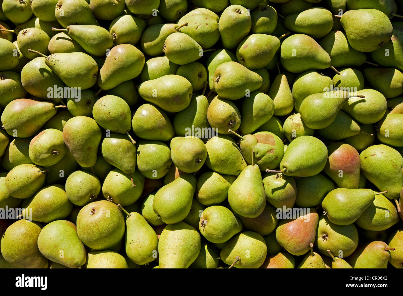 Belgium pear hi-res stock photography and images - Alamy