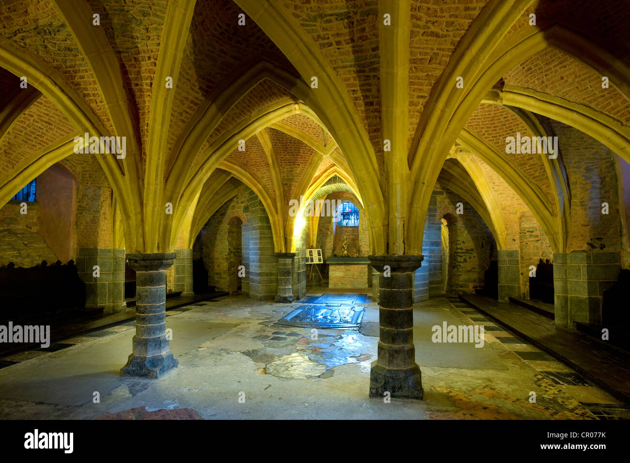 Interior showing arched roof and pillars inside the basilica of Saint ...