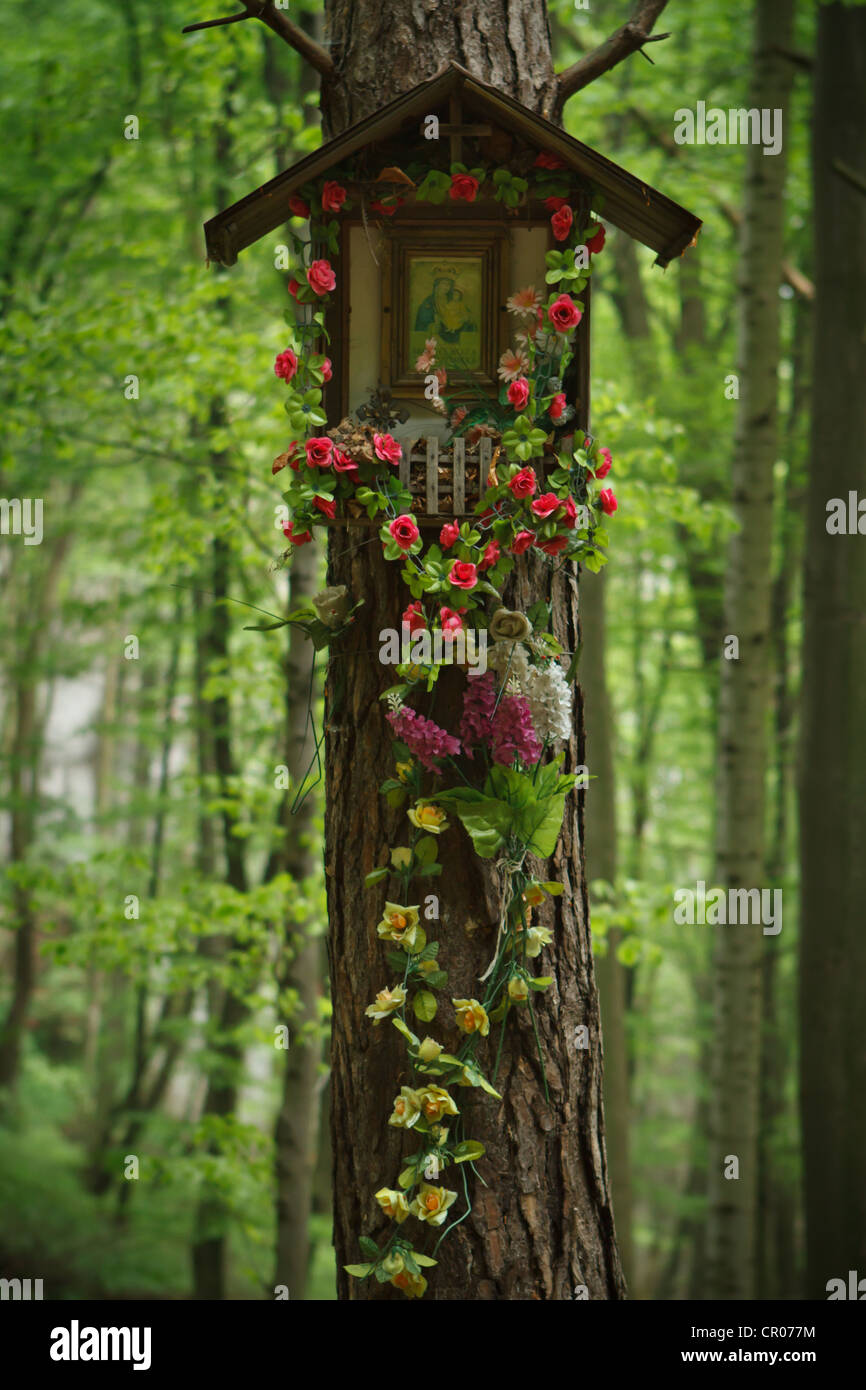 Tree shrine in the woods Stock Photo - Alamy