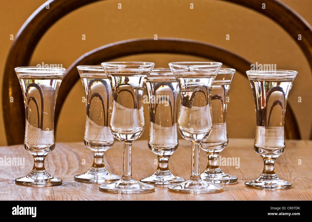 Drinking glasses on table filled with Dutch gin / jenever, Belgium ...