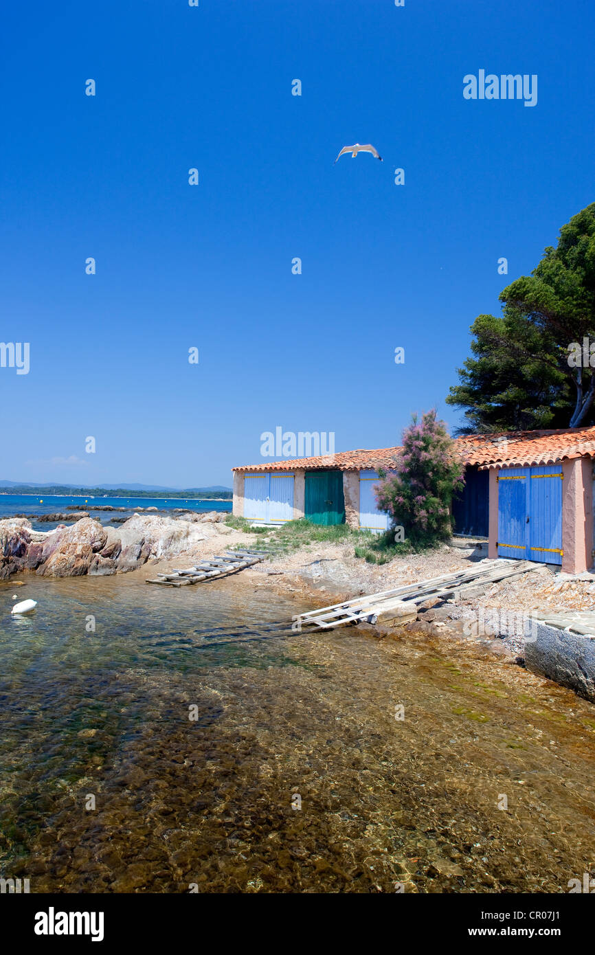 France, Var, Corniche des Maures, Cabasson, huts in front of Bregancon ...