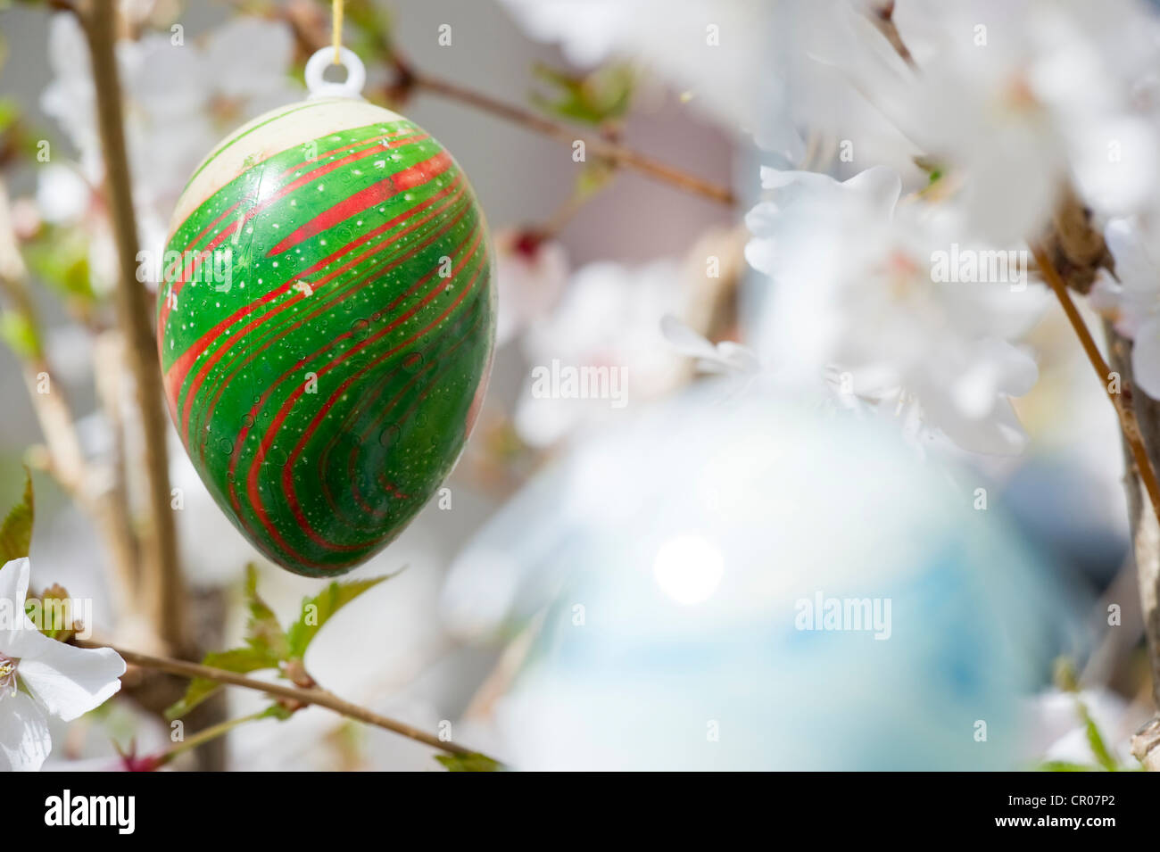 Easter egg and cherry blossoms Stock Photo - Alamy