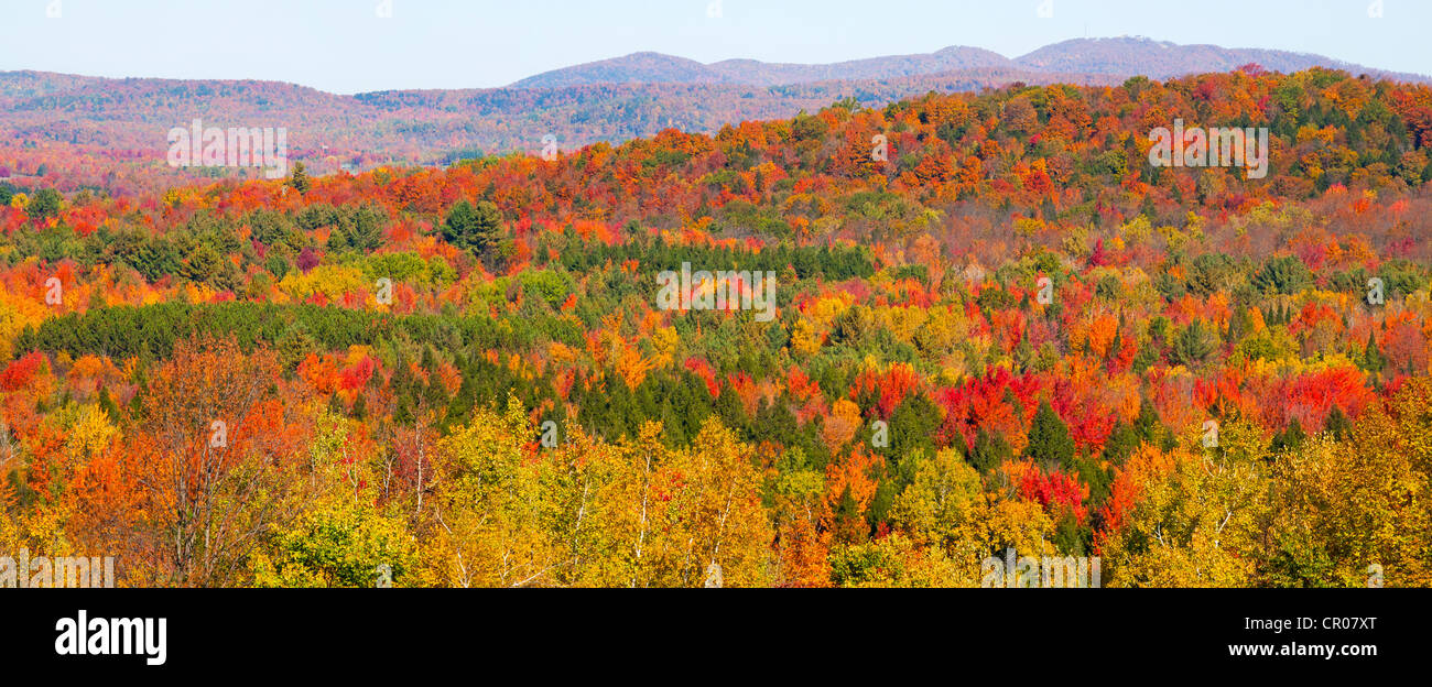 Panorama of autumn forest, Sutton, Quebec, Canada Stock Photo - Alamy