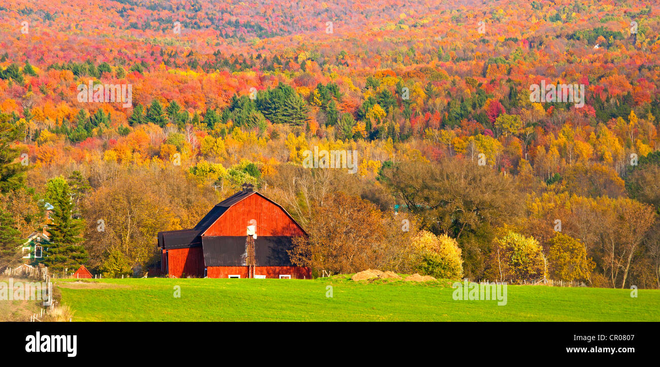 House in front of landscape with autumnal trees, Sutton, Quebec, Canada ...