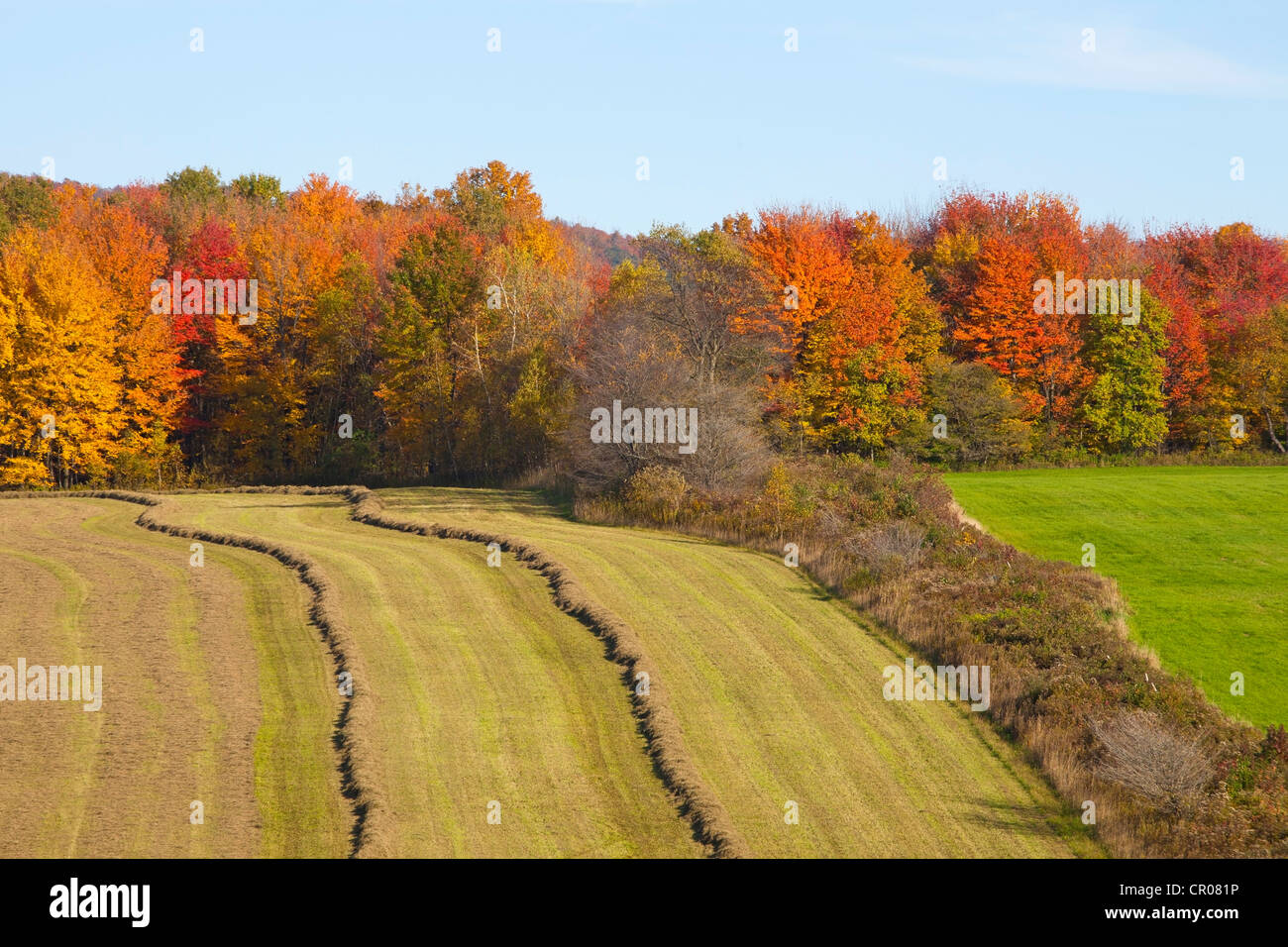 Abercorn hi-res stock photography and images - Alamy