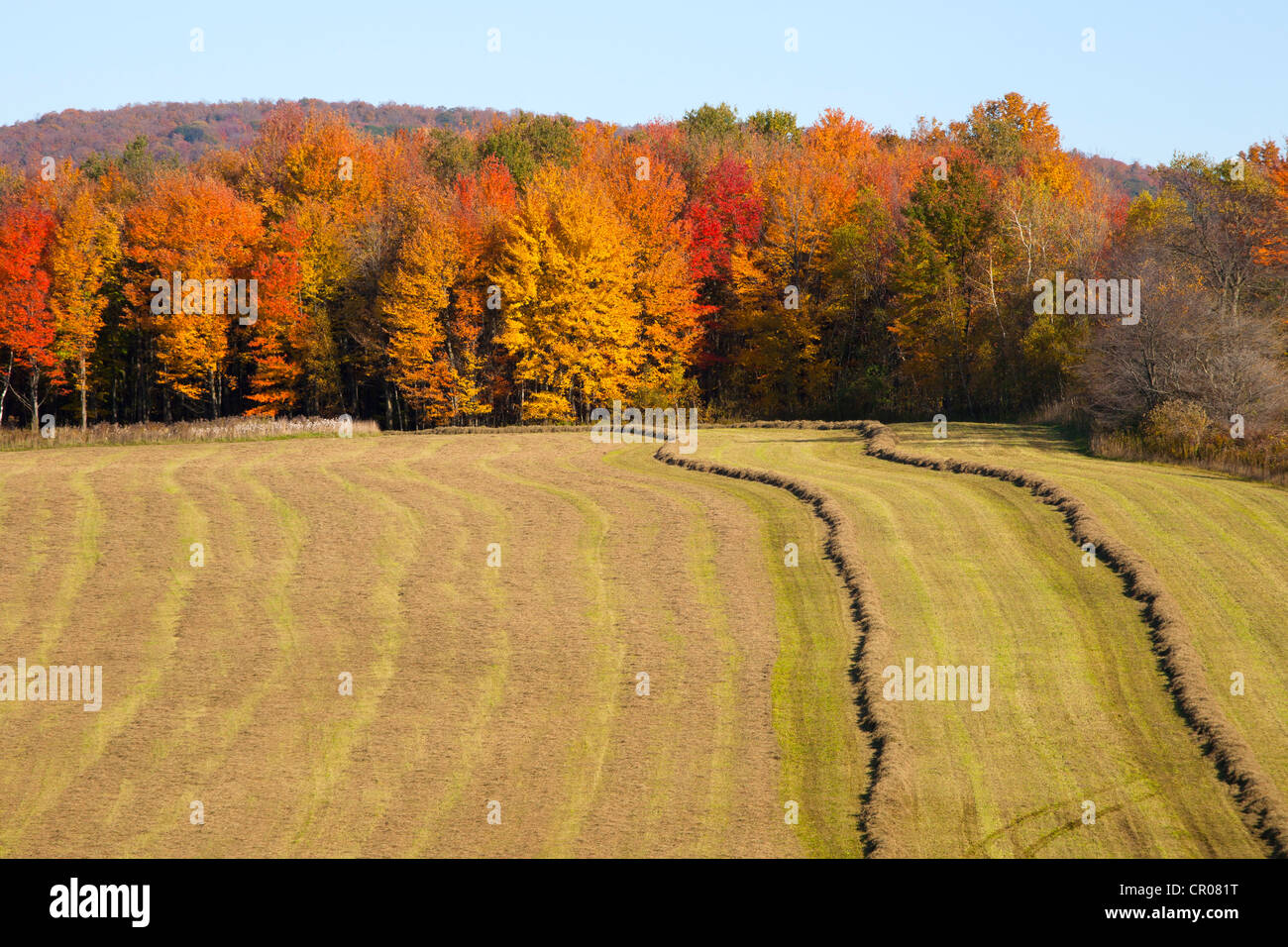 Abercorn hi-res stock photography and images - Alamy