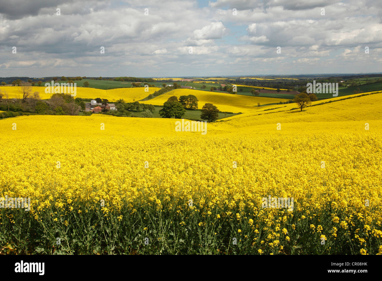 The English countryside in Spring, Nottinghamshire, England, U.K Stock ...