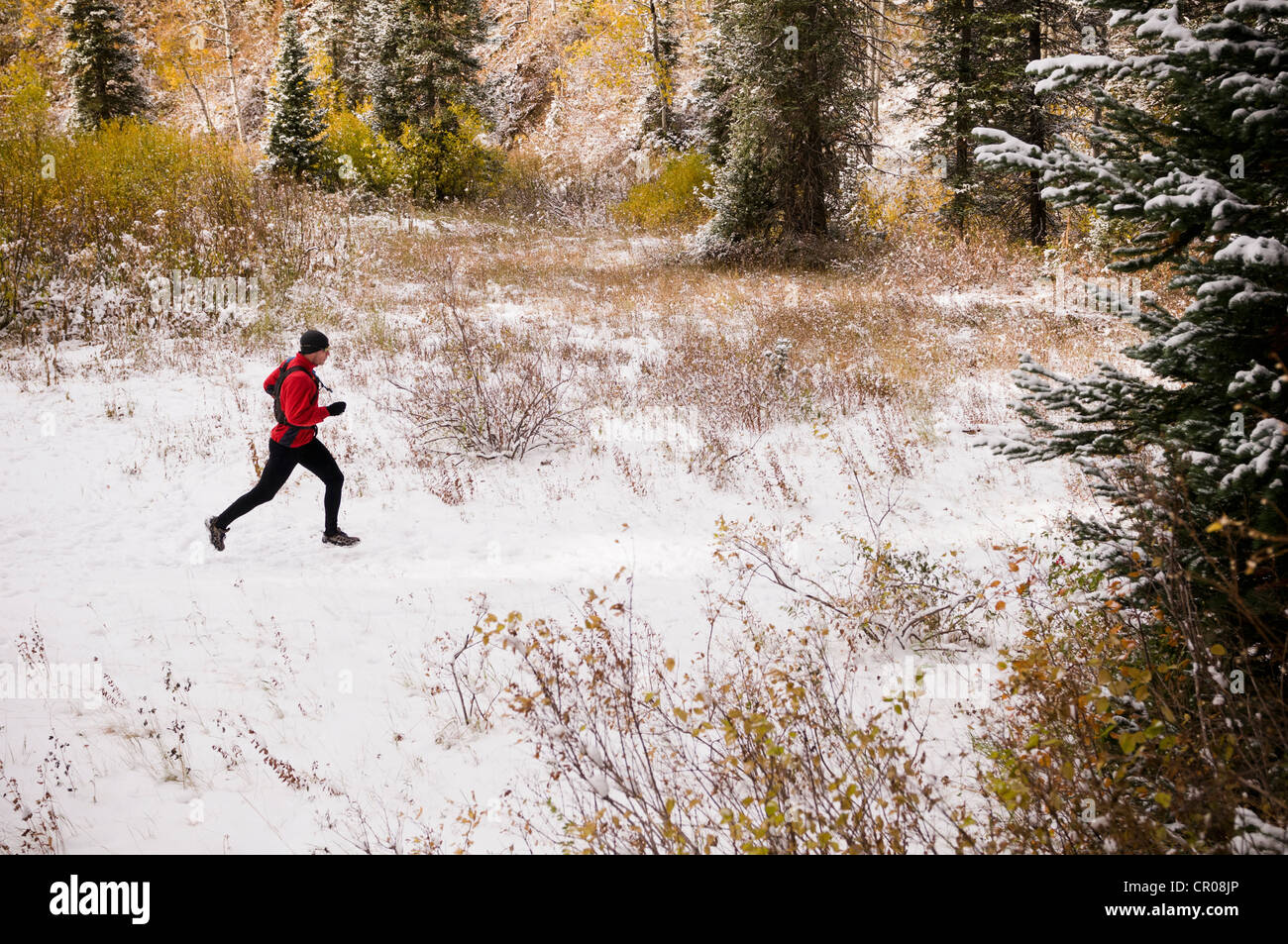 Man running in snowy field Stock Photo - Alamy