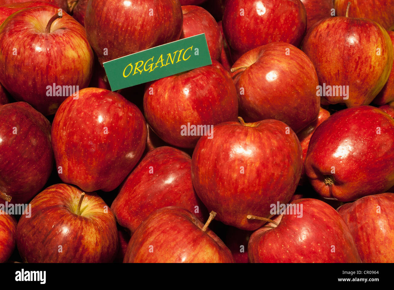 Organic produce, Red Delicious apples Stock Photo - Alamy