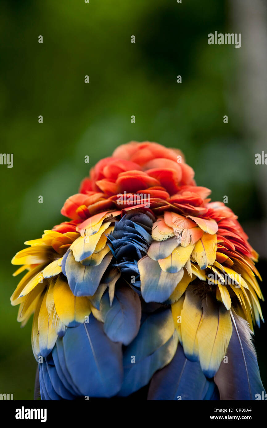 Arini hi-res stock photography and images - Alamy