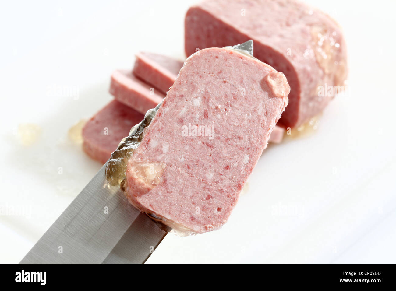 Tinned spam hi-res stock photography and images - Alamy