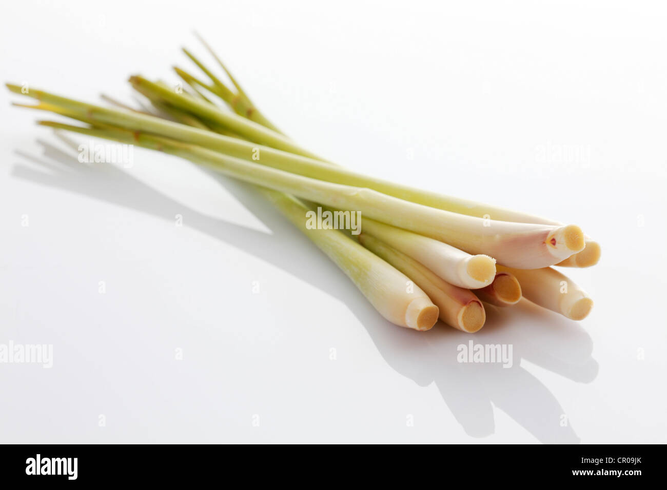 Lemon Grass (Cymbopogon citratus Stock Photo - Alamy