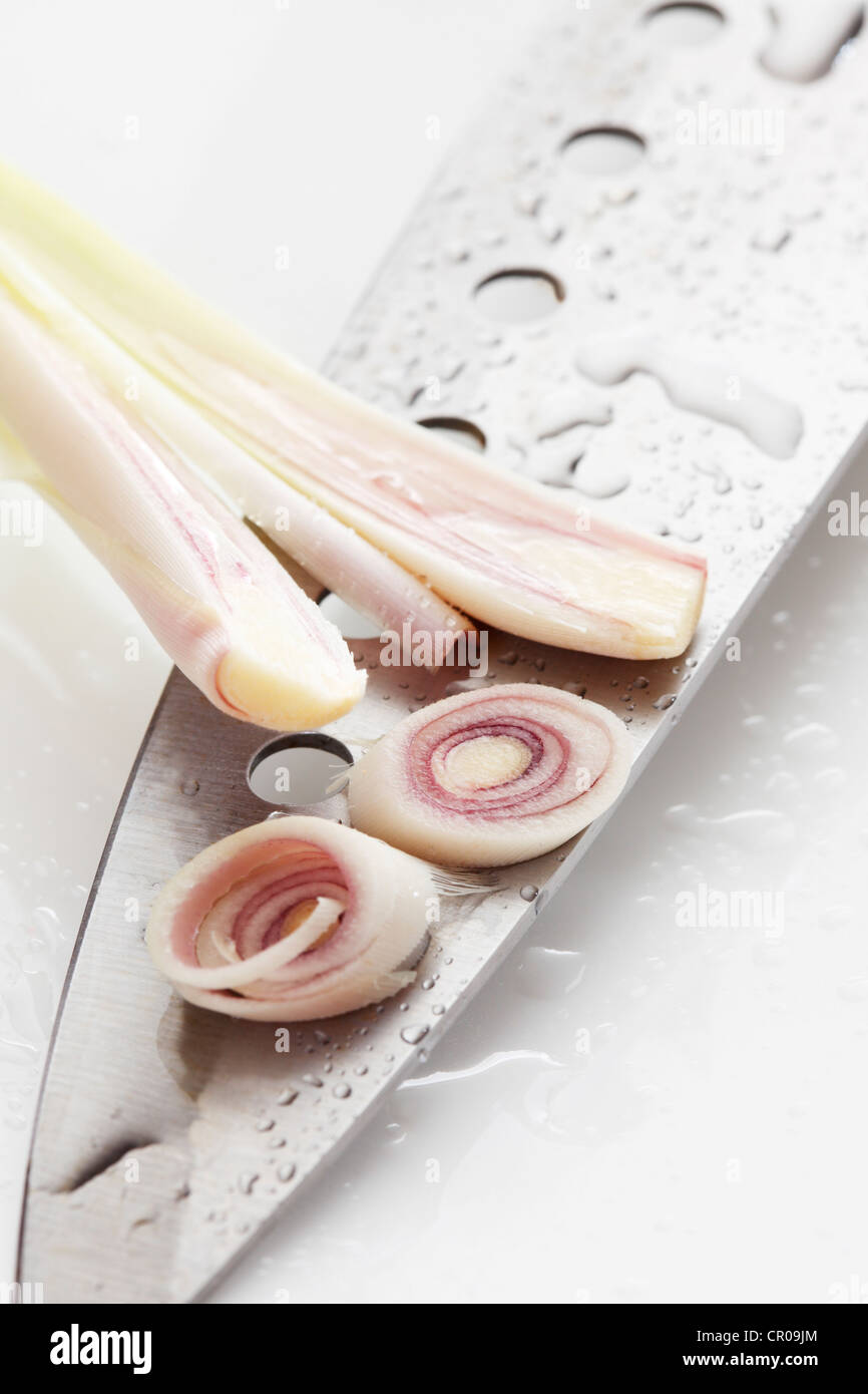 Cymbopogon citratus lemon grass hi-res stock photography and images - Alamy