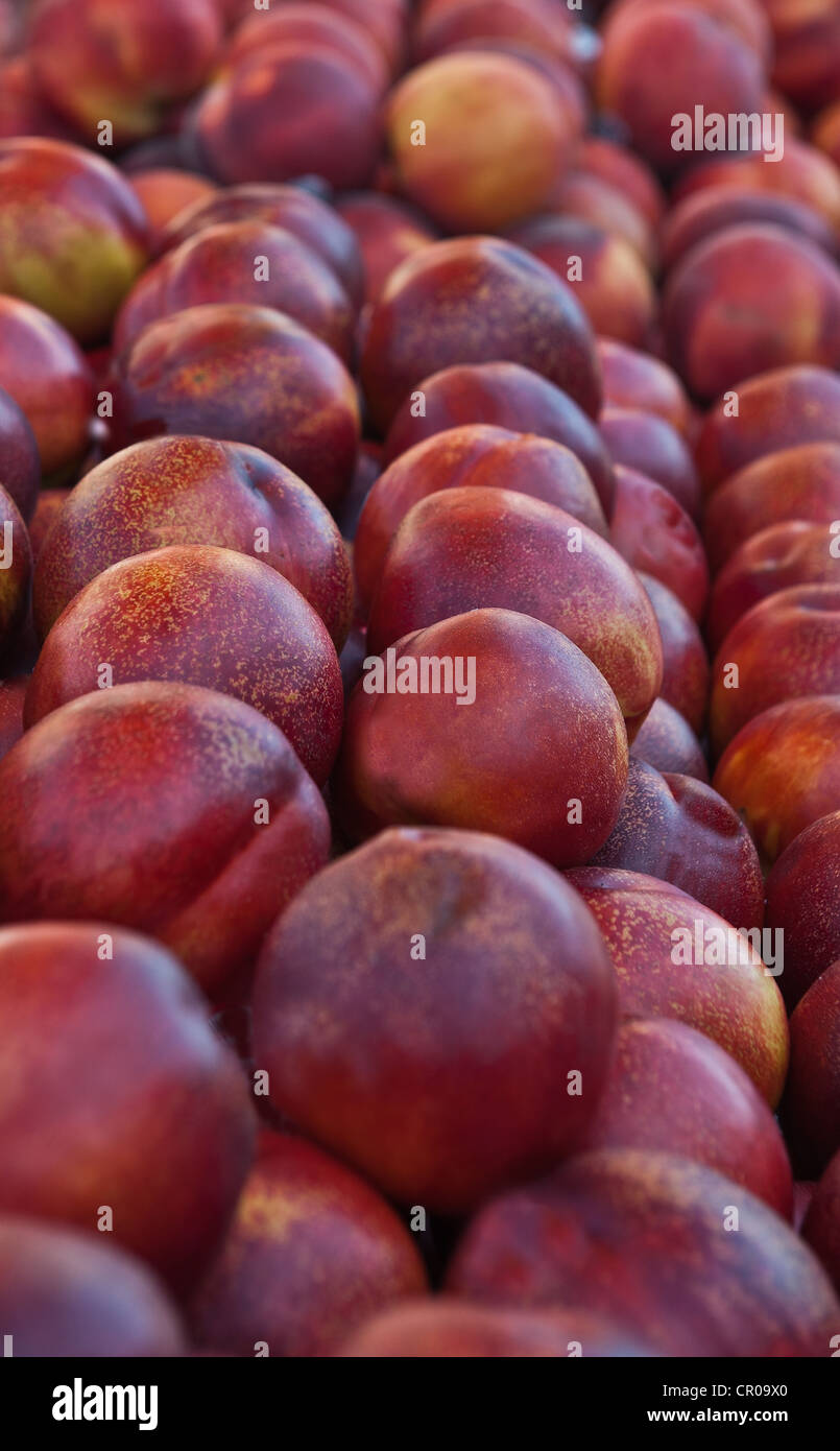Peacherine hi-res stock photography and images - Alamy