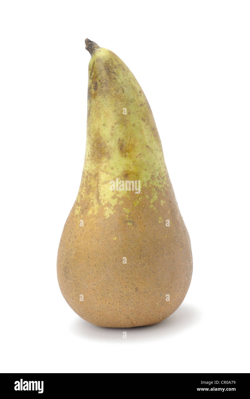 One pear on white background Stock Photo - Alamy