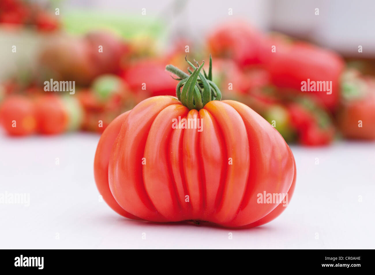 Tomato variety Zatopec Pleated, pink beef tomato Stock Photo - Alamy