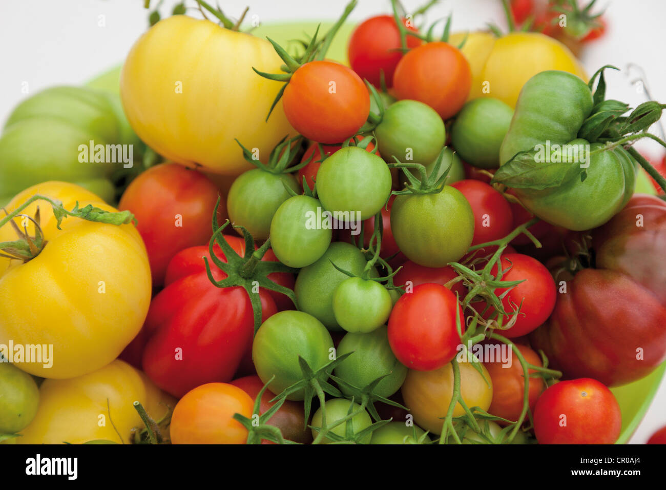 Various tomato varieties Stock Photo - Alamy