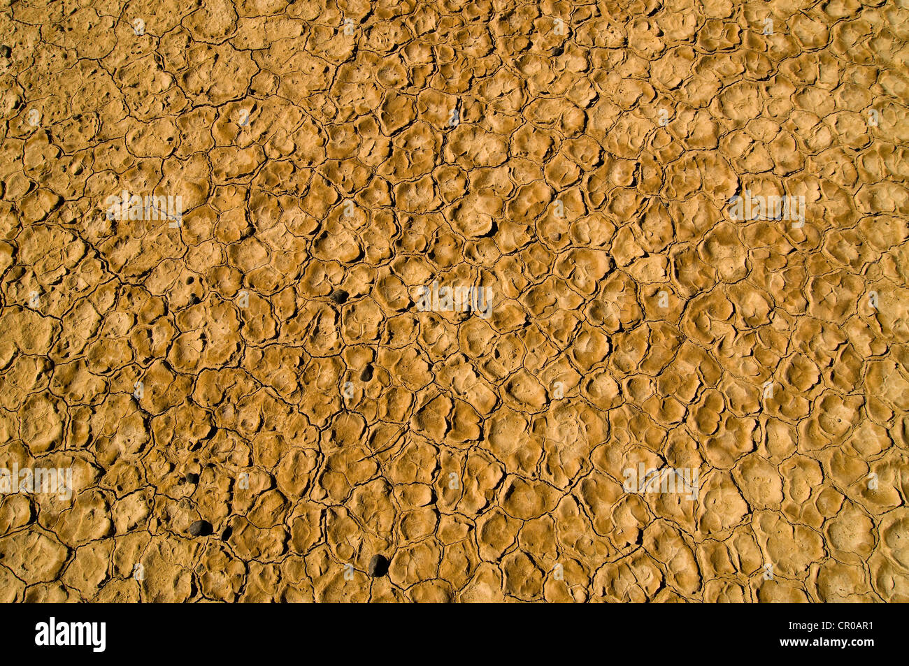 Salt flat, Kalahari Desert, Northern Cape, South Africa, Africa Stock ...
