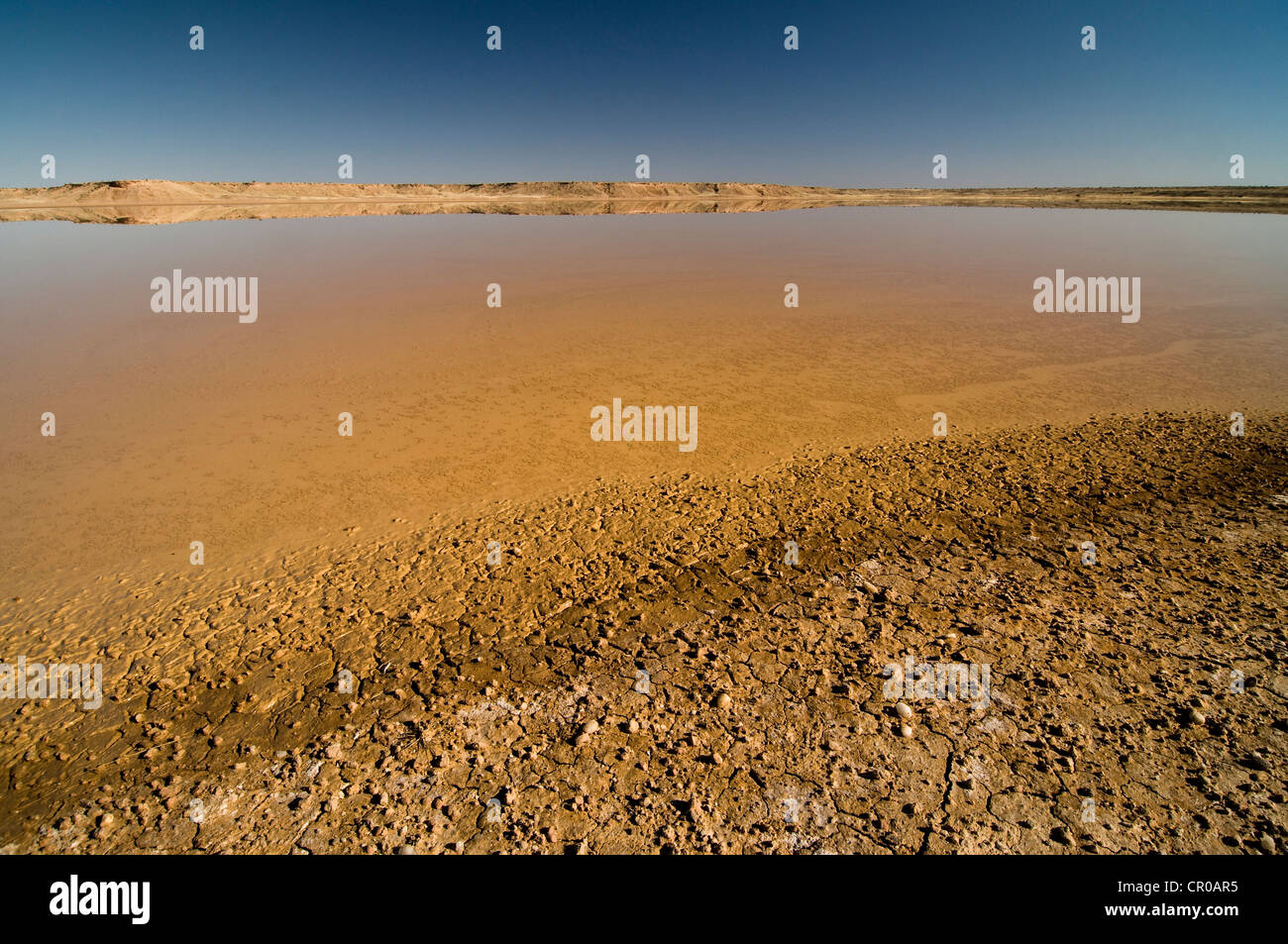Salt flat, Kalahari Desert, Northern Cape, South Africa, Africa Stock ...