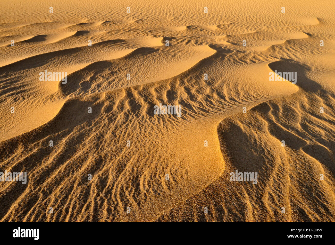 Sand structure, sand dune near Tehenadou, Adrar n'Ahnet, Adrar Ahnet ...