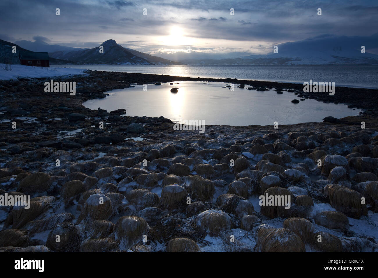 Balsfjord hi-res stock photography and images - Alamy