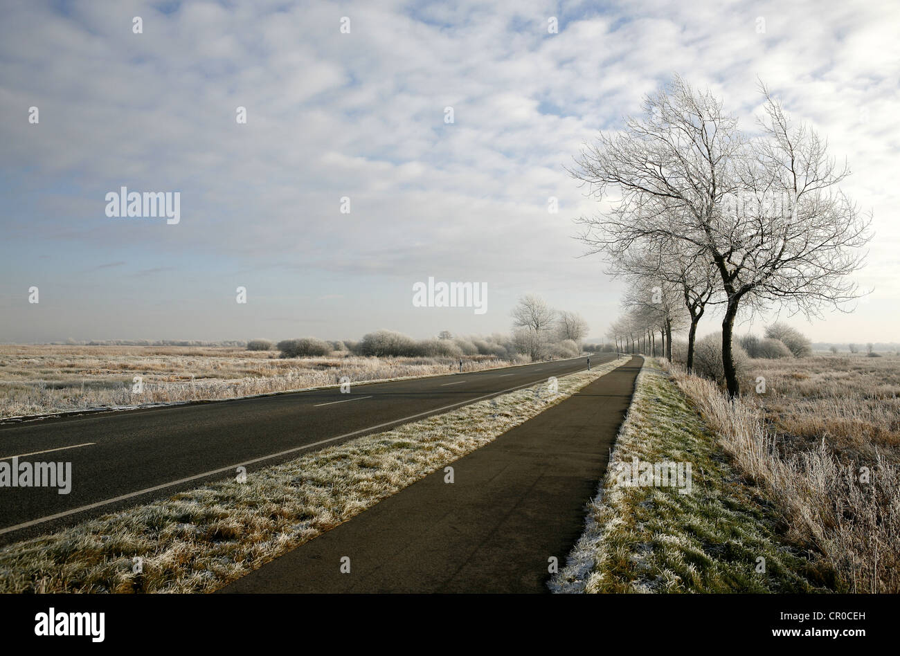 District of dithmarschen hi-res stock photography and images - Alamy