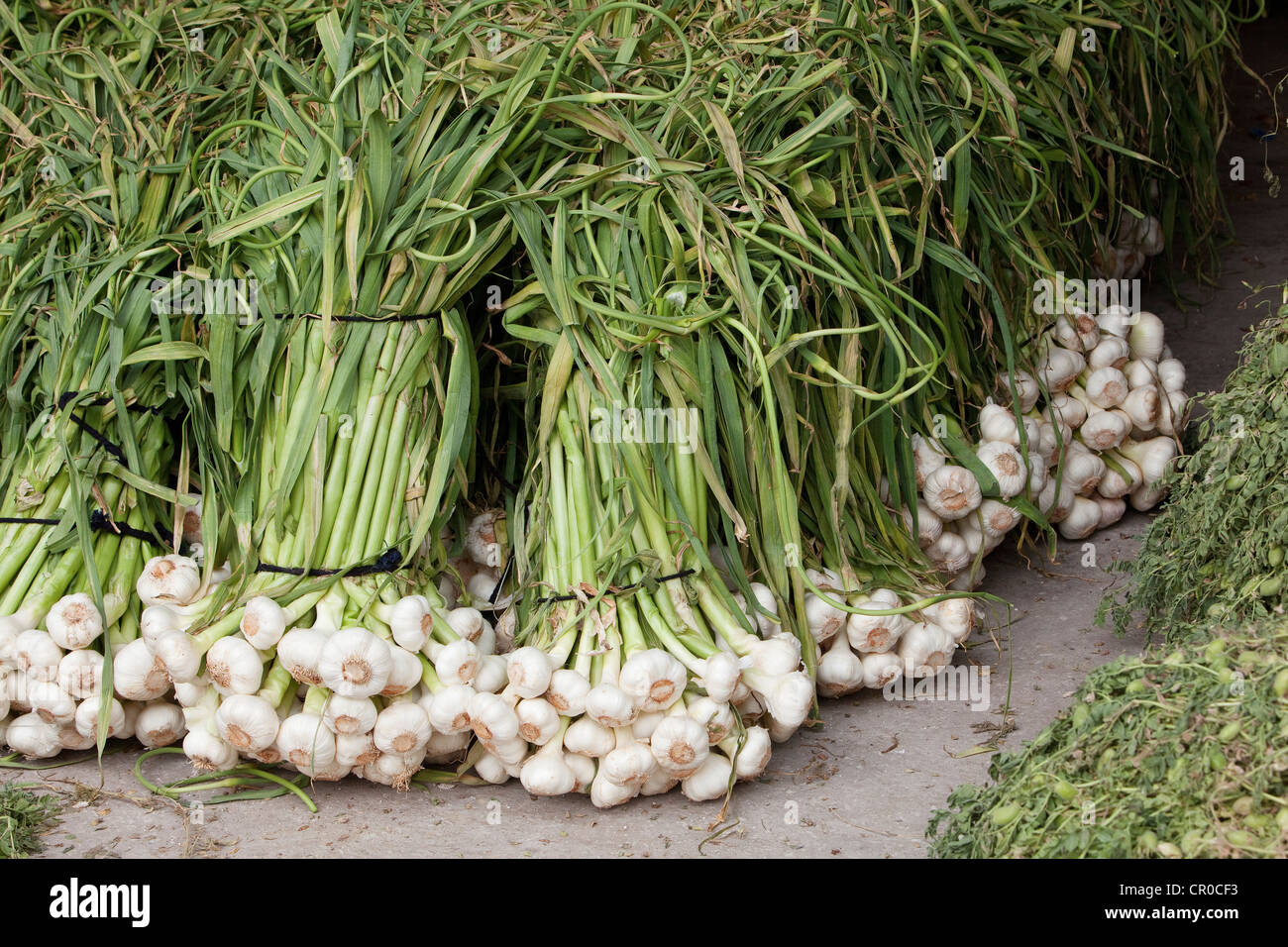 Garlic at a market stall, Avanos, Cappadocia, Turkey, Asia Stock Photo ...