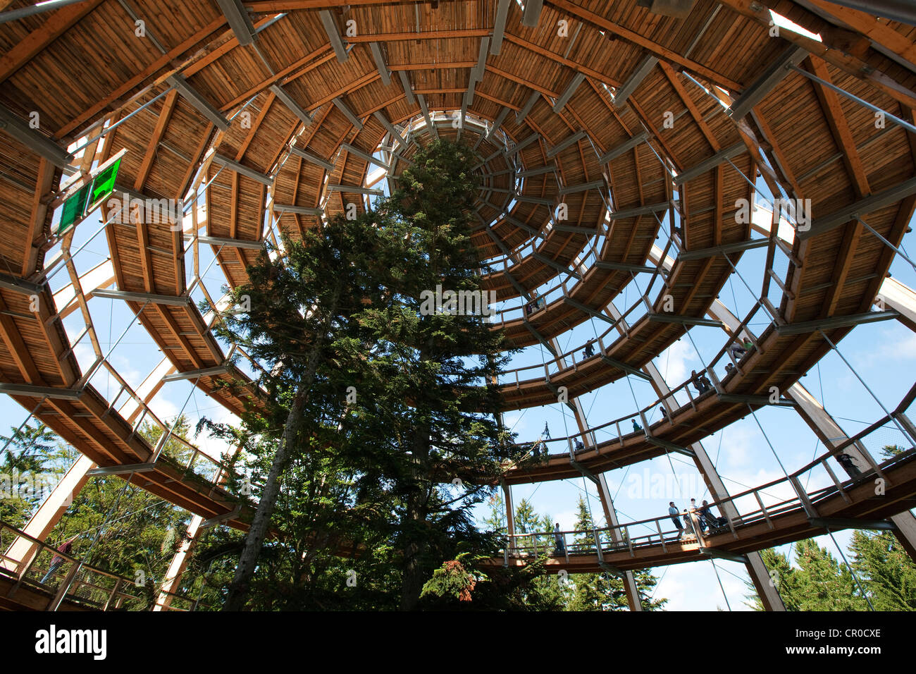 Canopy pathway hi-res stock photography and images - Alamy